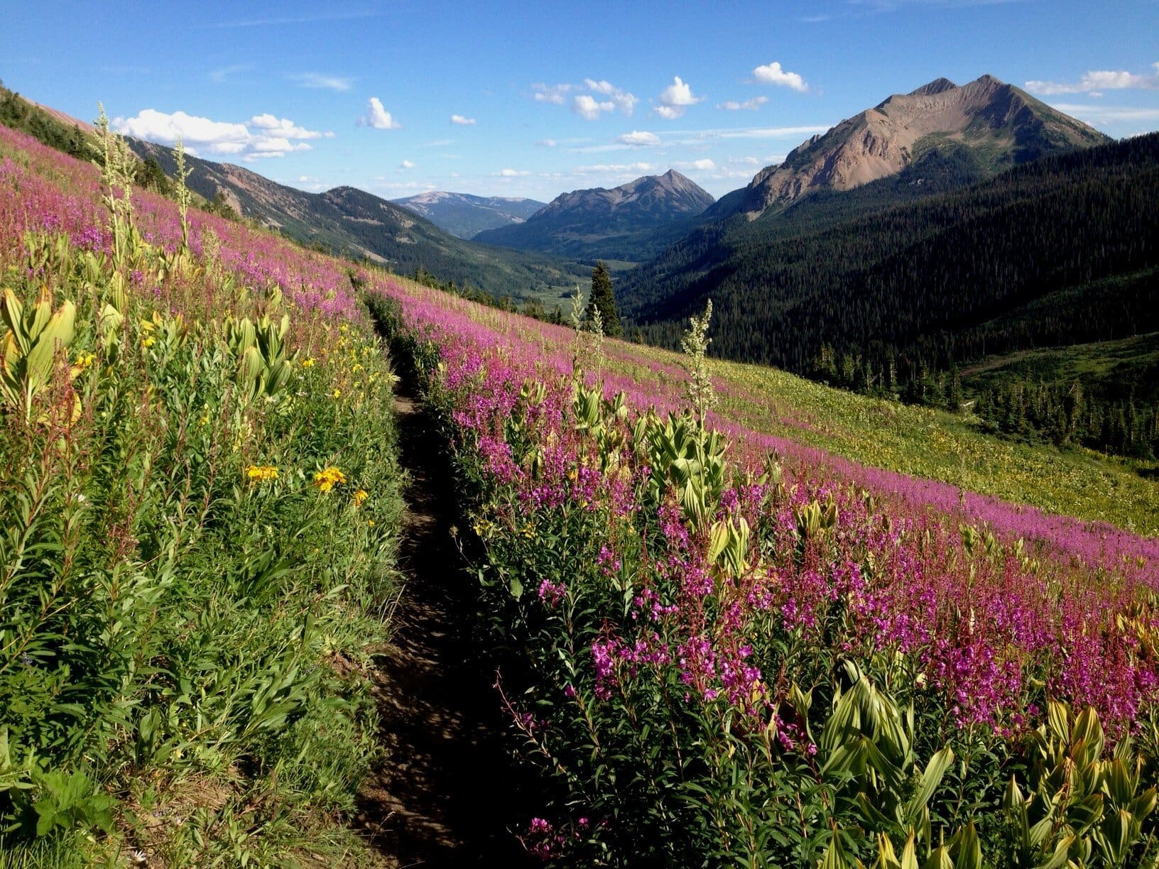 9 Things You Must Do On Your First Crested Butte Visit