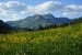 Crested Butte Trails: Judd Falls